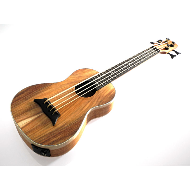 RISA Ukulelebass bundiert UKUBASS - günstig kaufen im Online-Shop für Musikinstrumente, 468,00